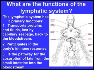 169-Anatomy-Blood-Lymphatic-System.ppt