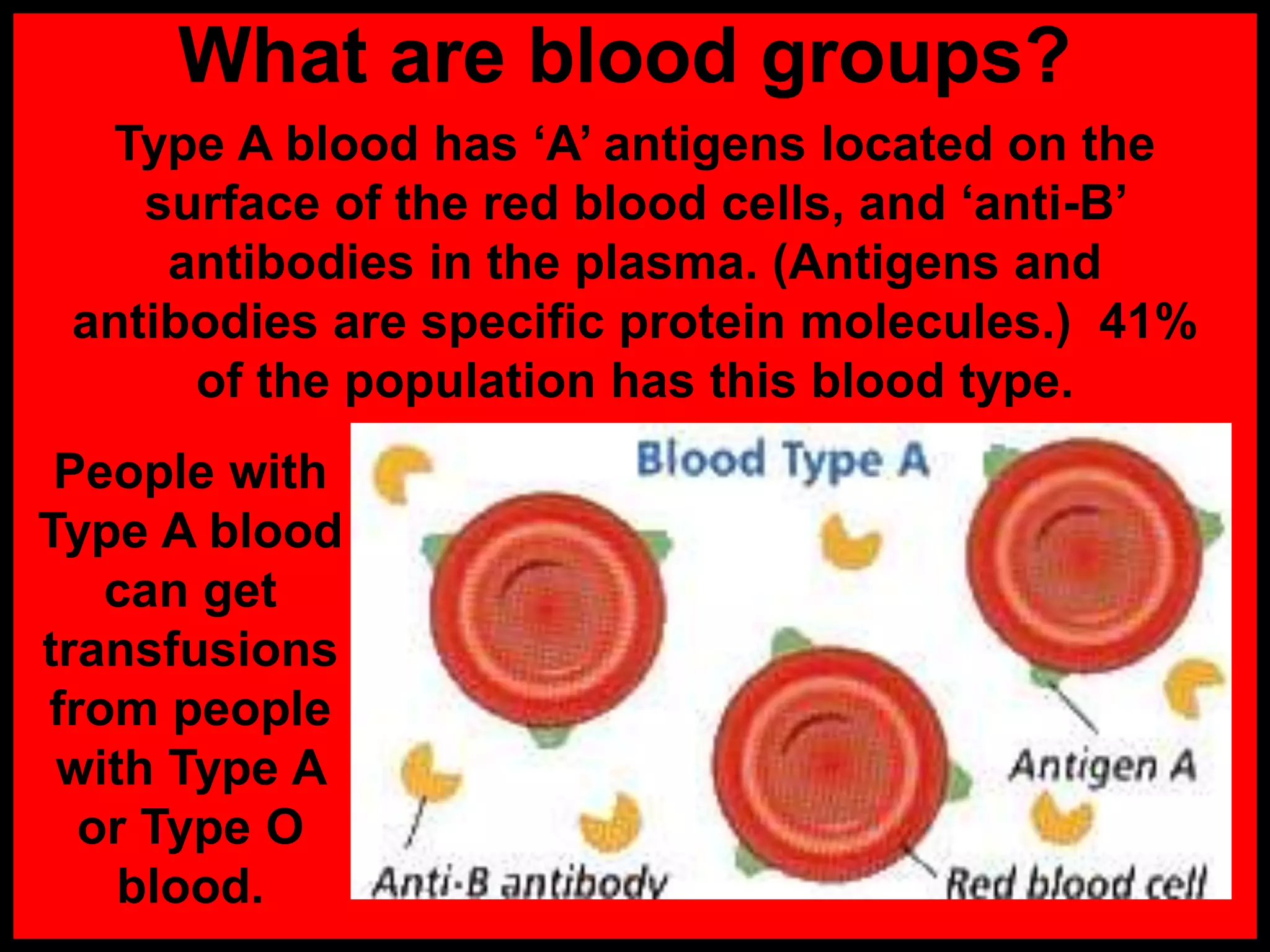 169-Anatomy-Blood-Lymphatic-System.ppt