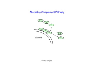 Complement system in human body immunity | PPT