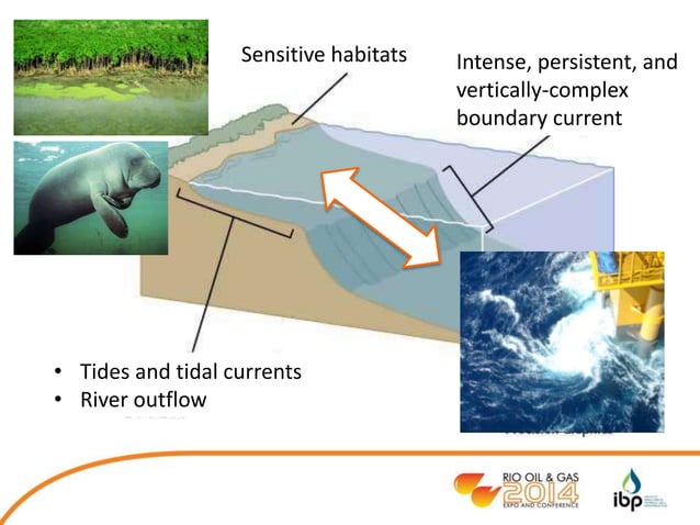 On the Oceanography of Brazil’s Equatorial Margin: Hazardous Offshore ...