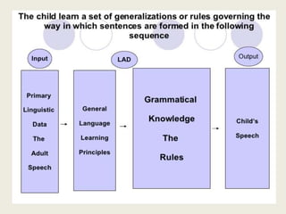 169333807-Theories-of-Language-Learning.ppt