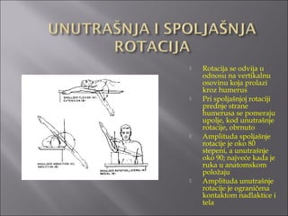 2. ZGLOB RAMENA | PPT