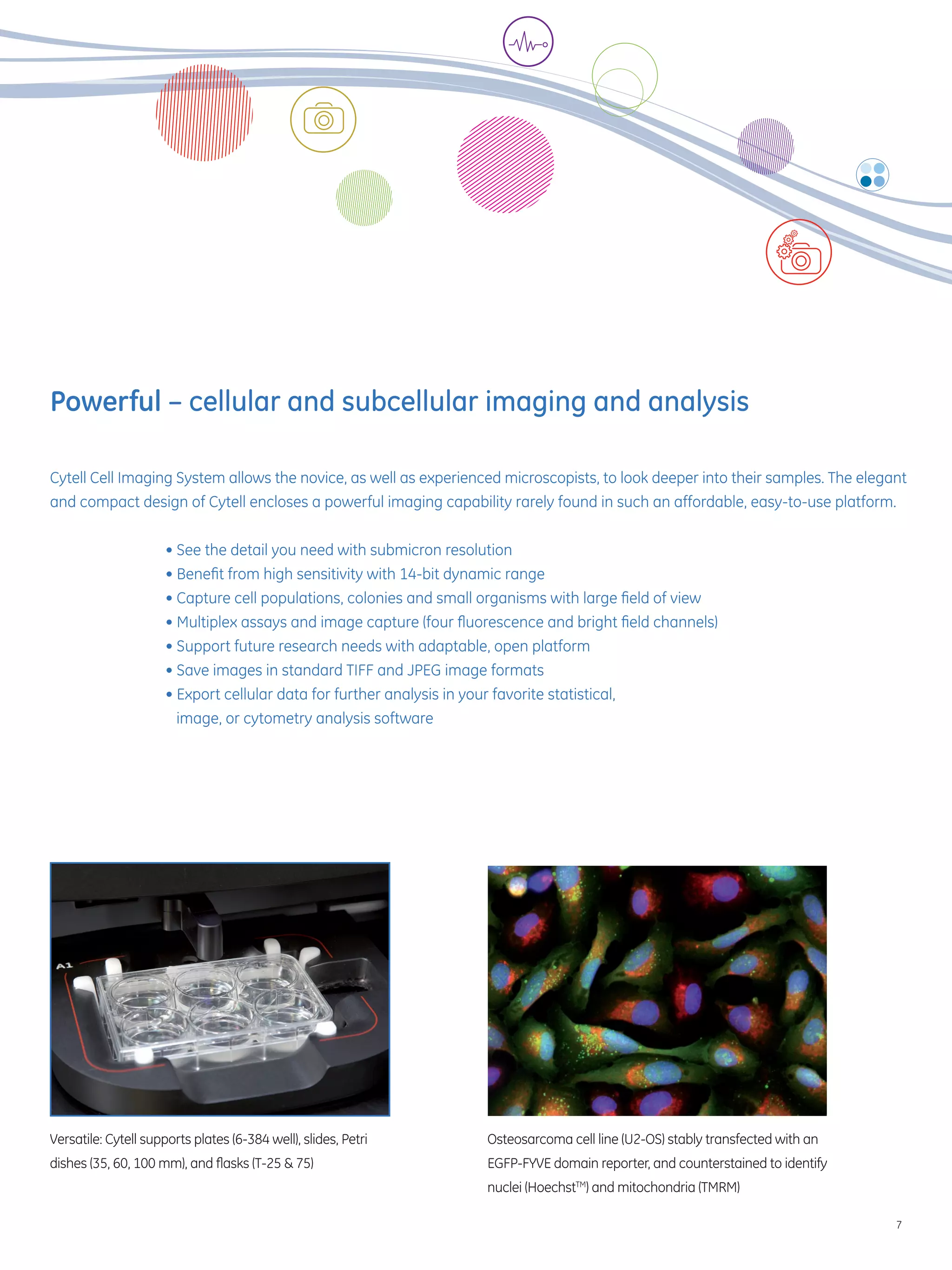 Cytell Cell Imaging System | PDF