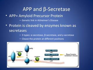 Alzheimer's Disease Final Presentation | PPT