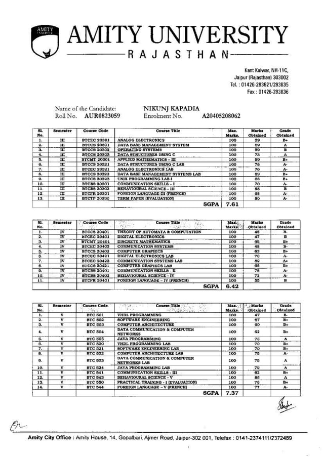 Nikunj_Amity Transcript | PDF