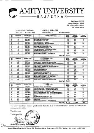 Nikunj_Amity Transcript | PDF