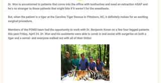 lions, tigers and bears, oh my | PDF