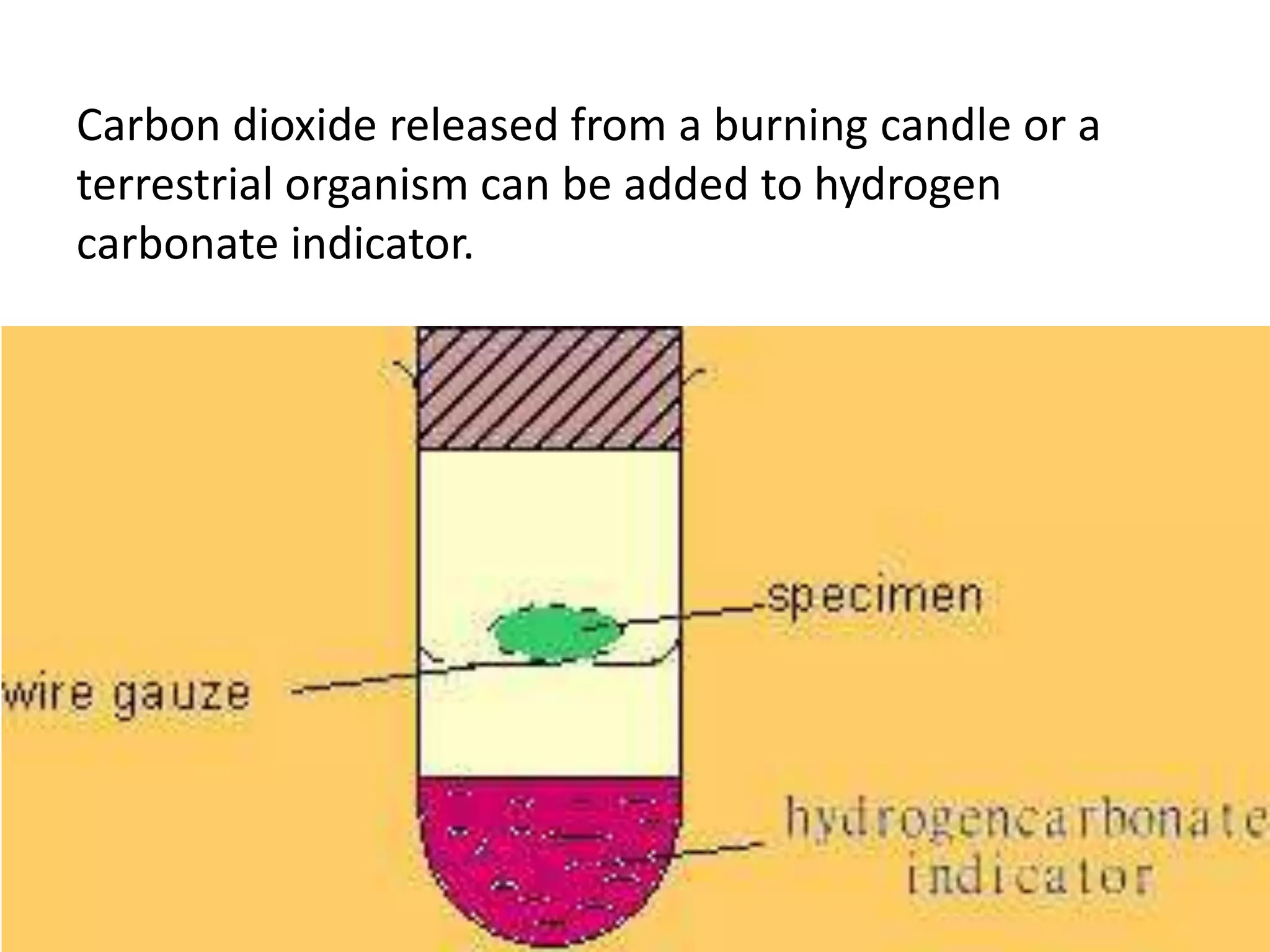 16 b1.33b carbon dioxide indicator | PPTX