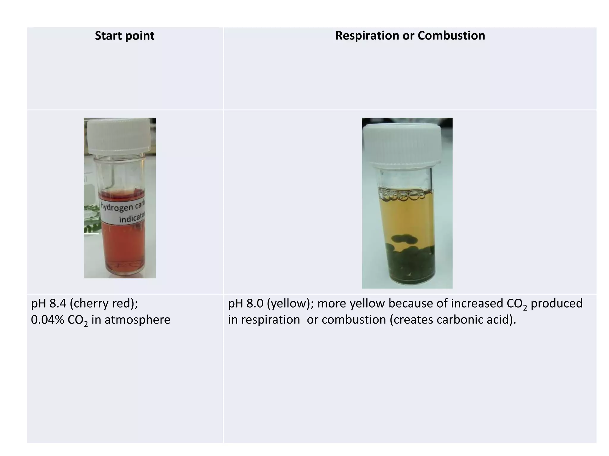 16 b1.33b carbon dioxide indicator | PPTX