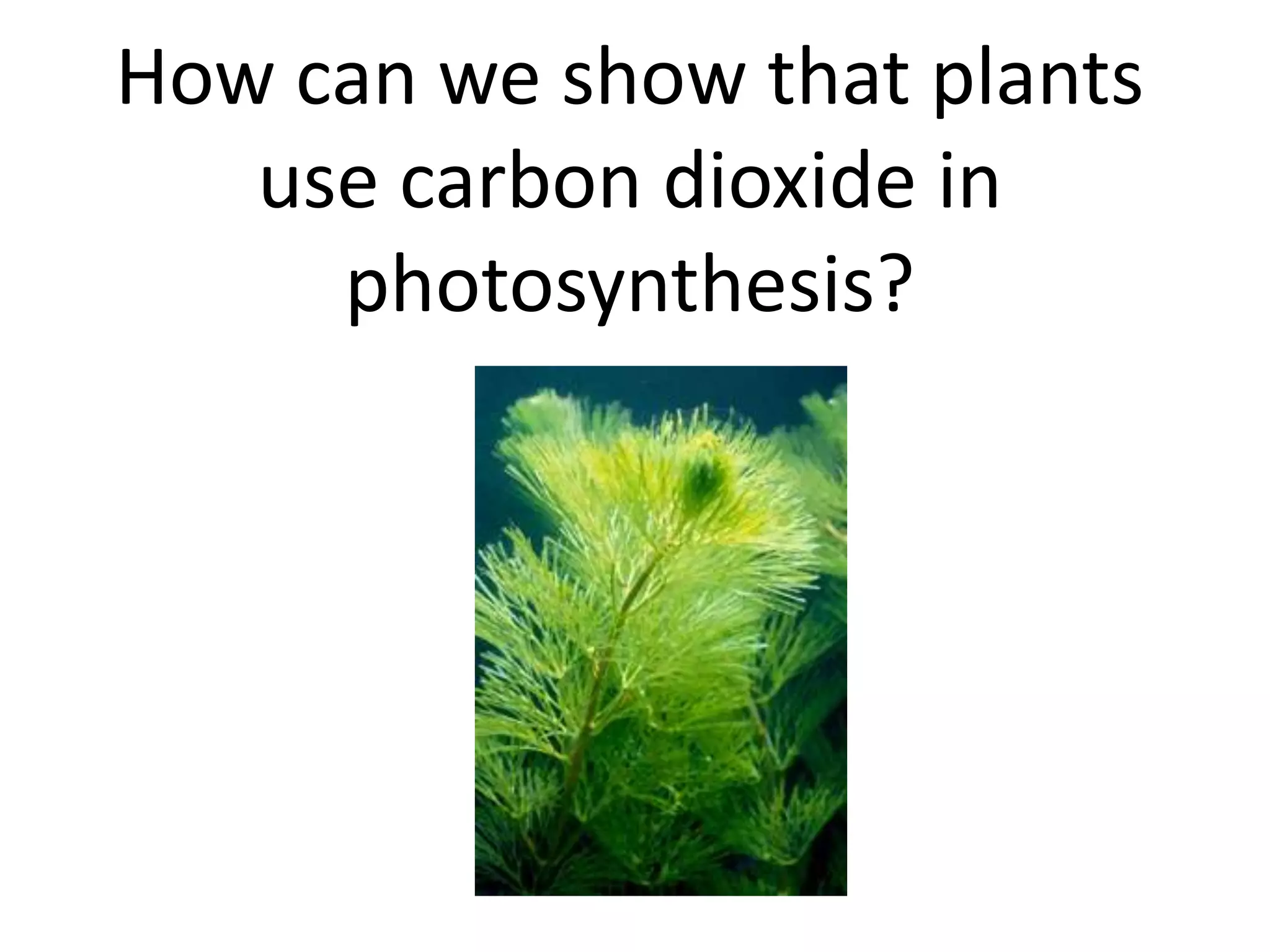 16 b1.33b carbon dioxide indicator | PPTX