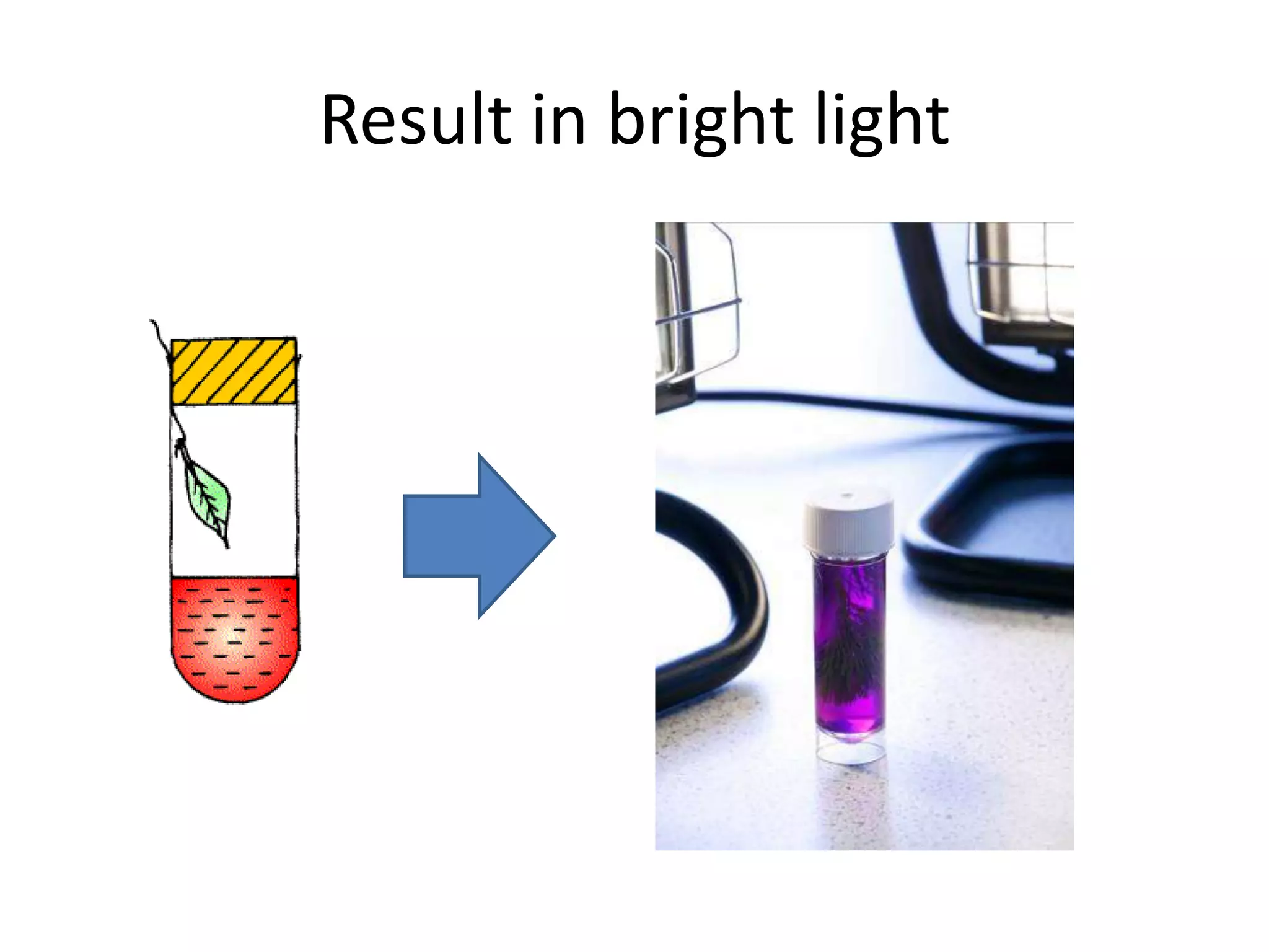 16 b1.33b carbon dioxide indicator | PPTX