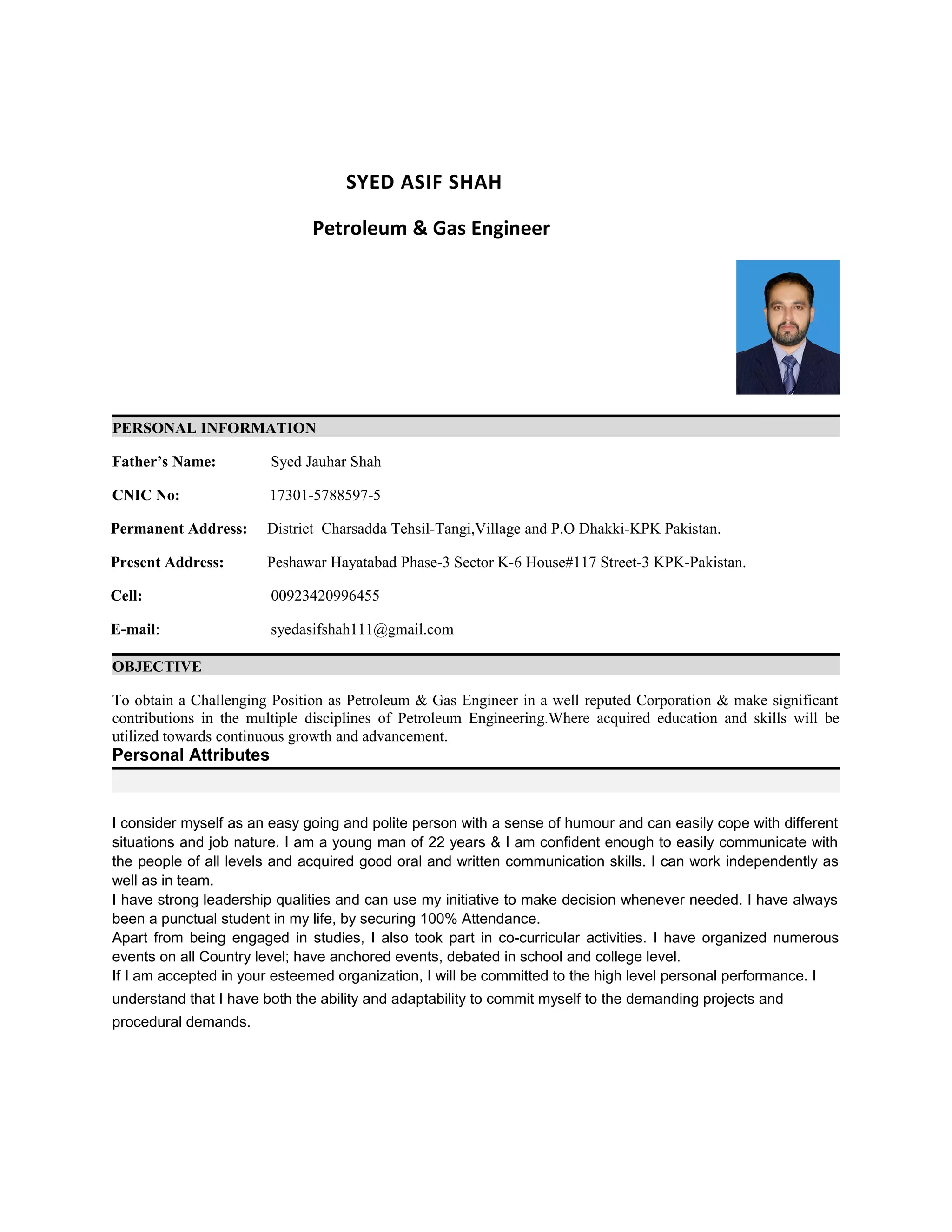 Perfect Cv With picture | PDF