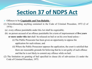 bail in ndps act | PPTX