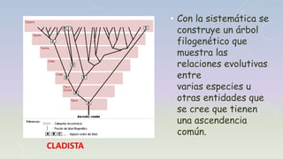 16 BIOLOGÍA SISTEMÁTICA.pptx