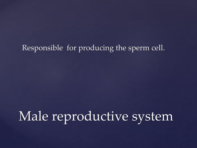 16 body systems part5 | PPT