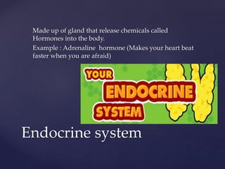16 body systems part5 | PPT