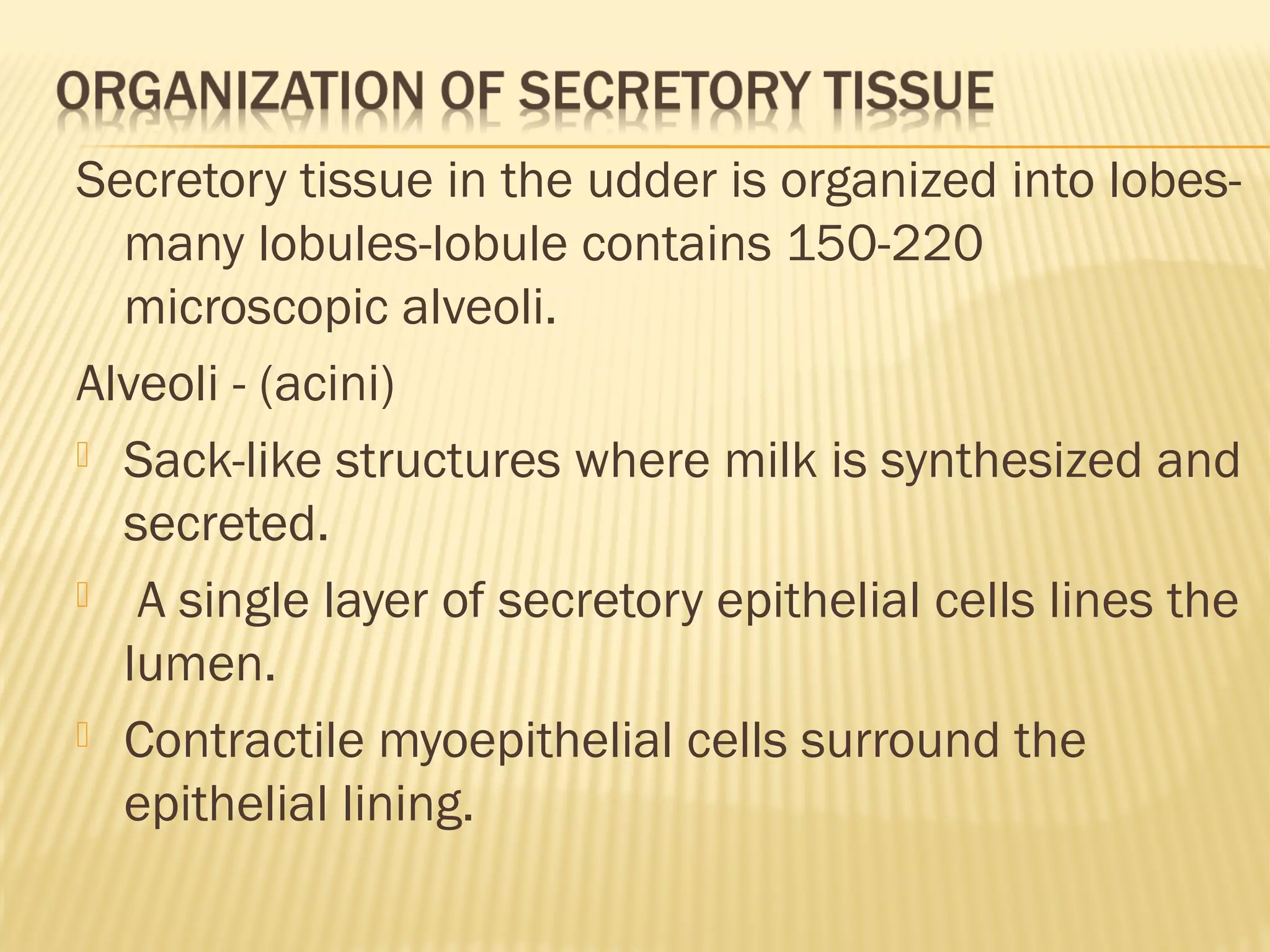 16 bovine mammary glands complete | PPT