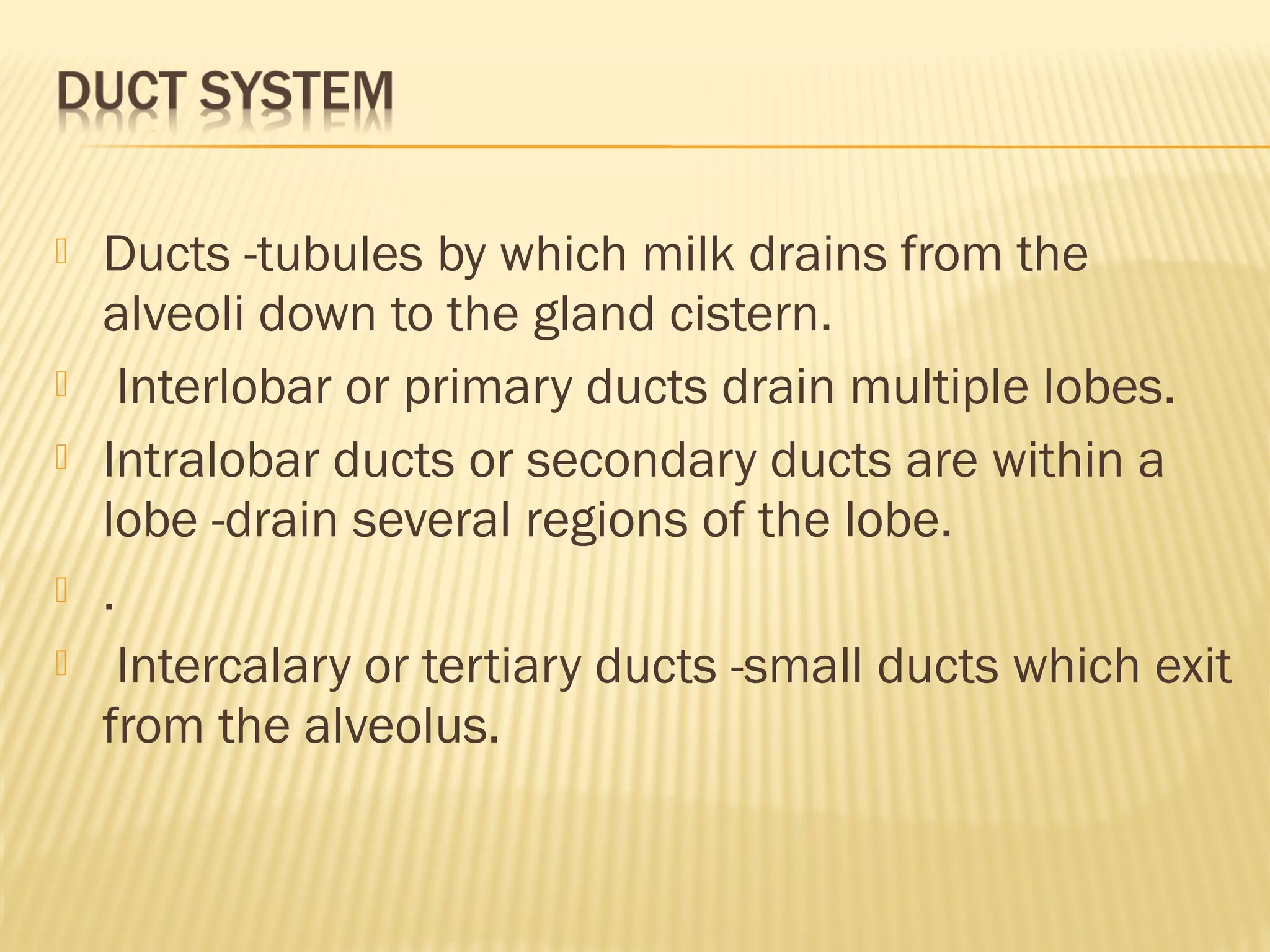 16 bovine mammary glands complete | PPT