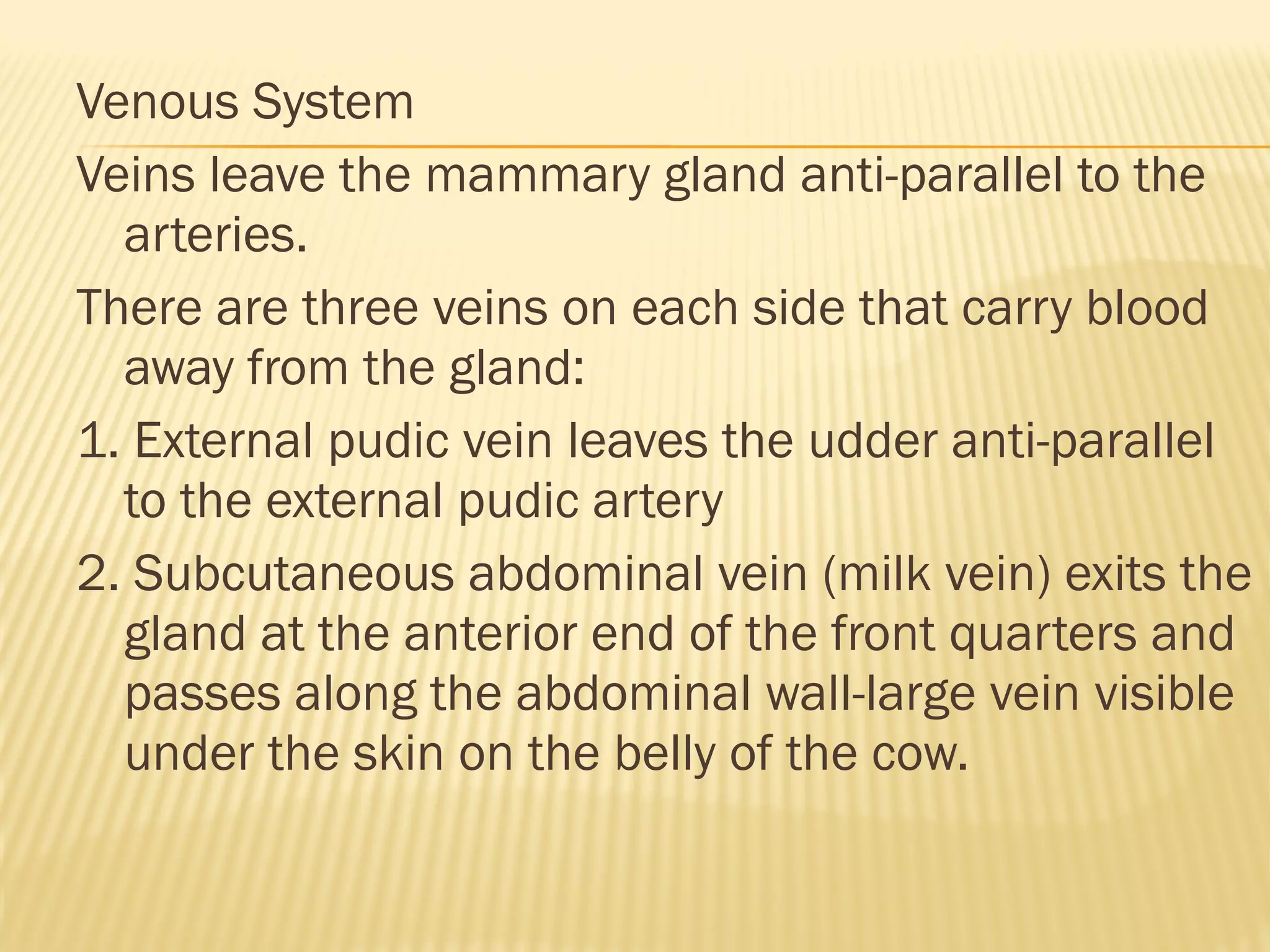 16 bovine mammary glands complete | PPT