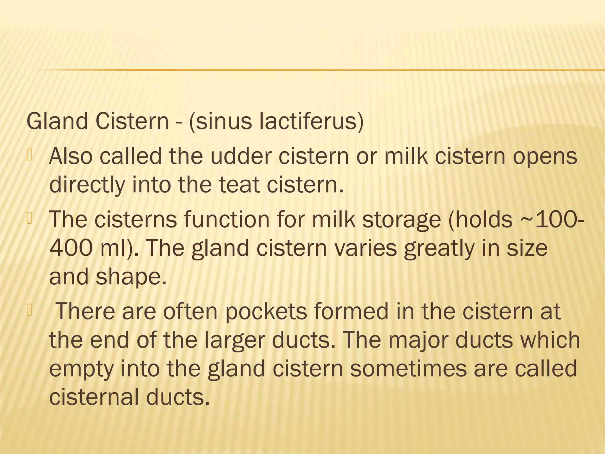 16 bovine mammary glands complete | PPT