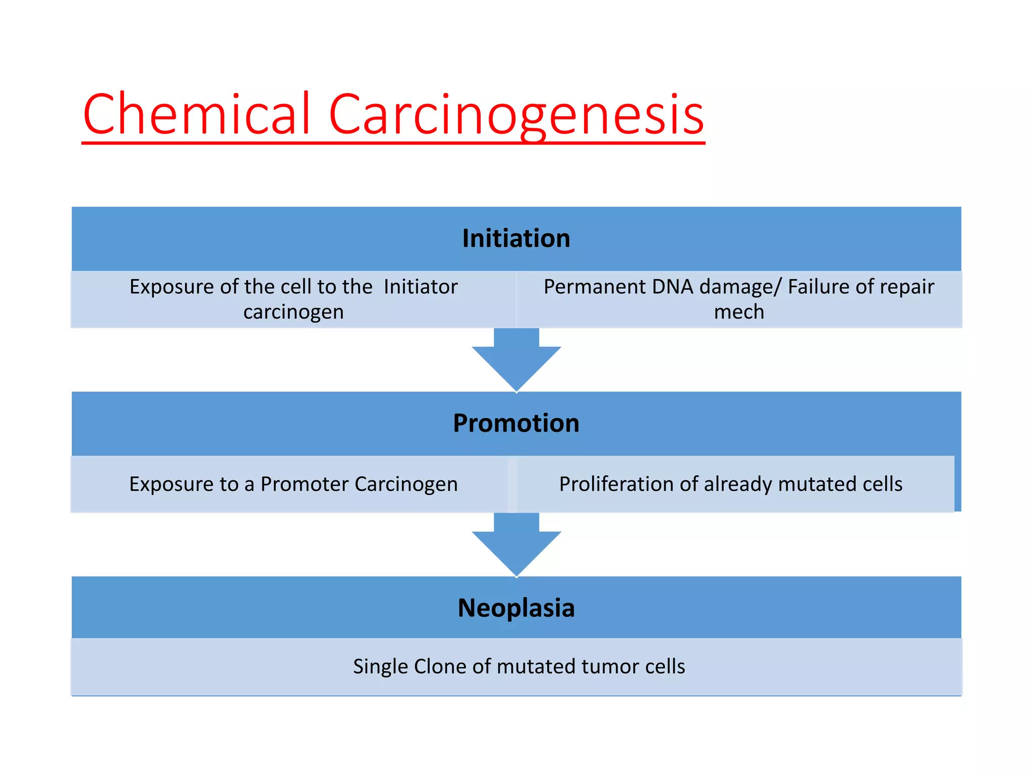 16 CARCINOGENESIS.pptx