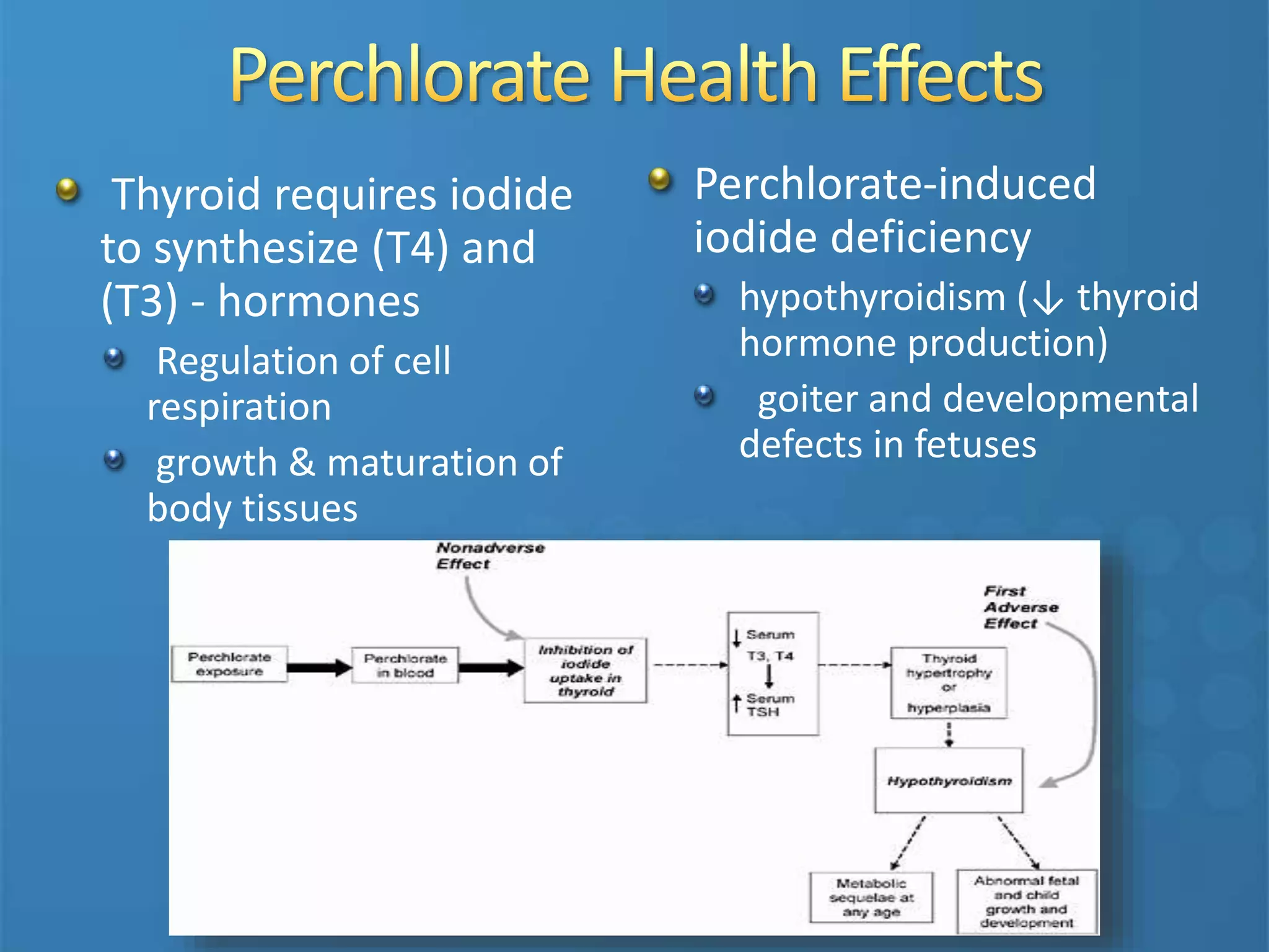 Perchlorate Effects in the Water System | PPT