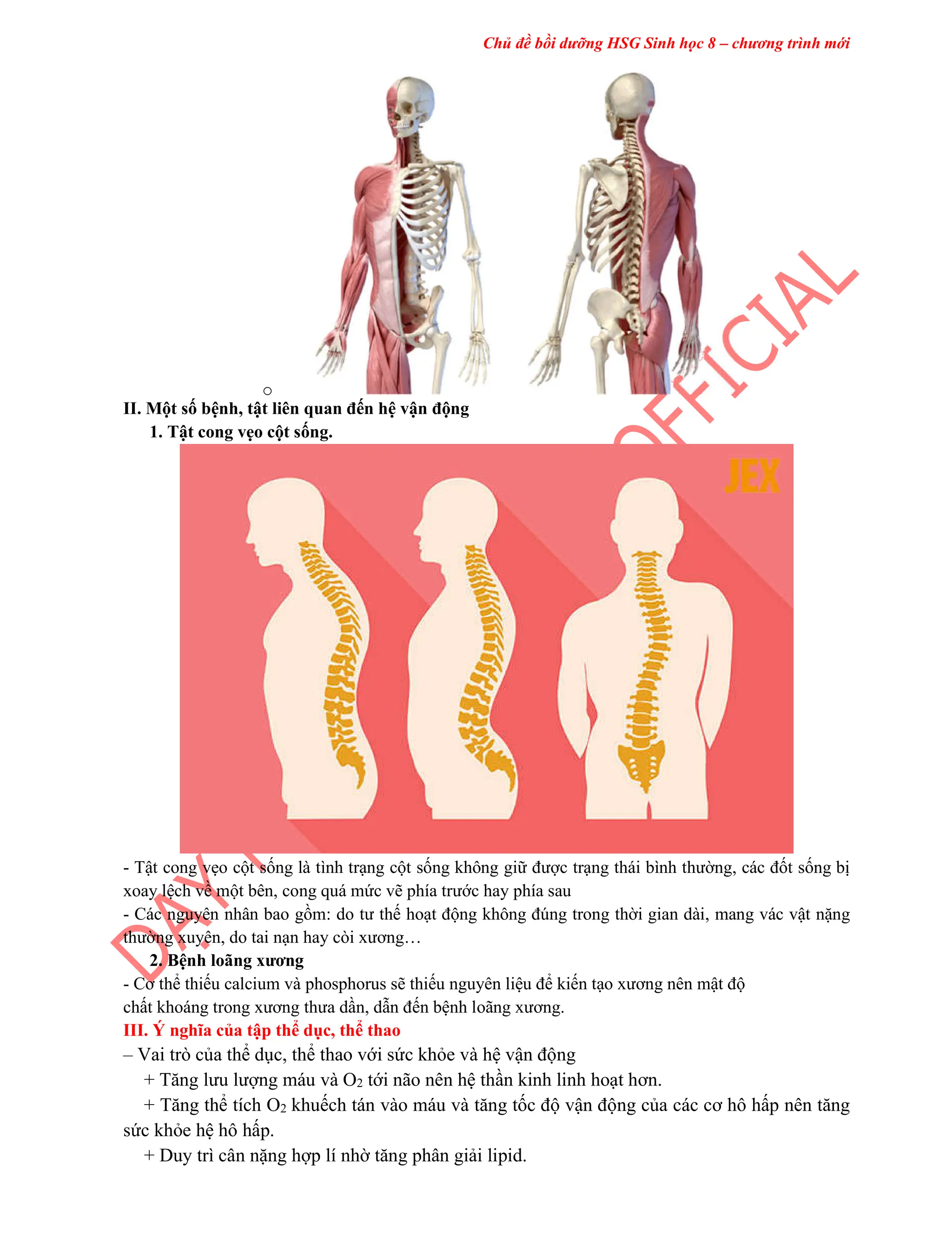 16 CHUYÊN ĐỀ BỒI DƯỠNG HỌC SINH GIỎI KHOA HỌC TỰ NHIÊN 8 CHƯƠNG TRÌNH MỚI - PHẦN SINH HỌC (CÓ ...