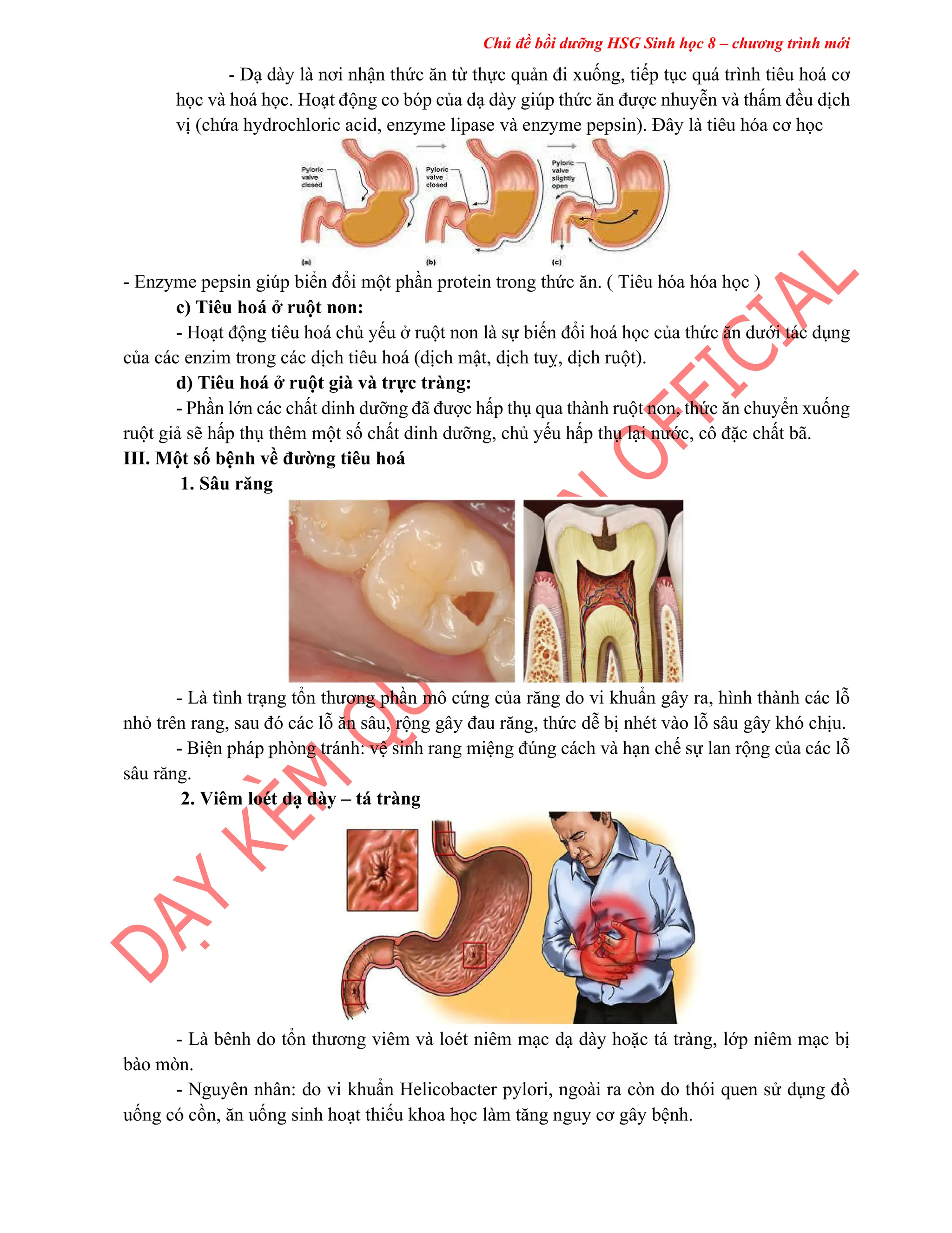 16 CHUYÊN ĐỀ BỒI DƯỠNG HỌC SINH GIỎI KHOA HỌC TỰ NHIÊN 8 CHƯƠNG TRÌNH MỚI - PHẦN SINH HỌC (CÓ ...