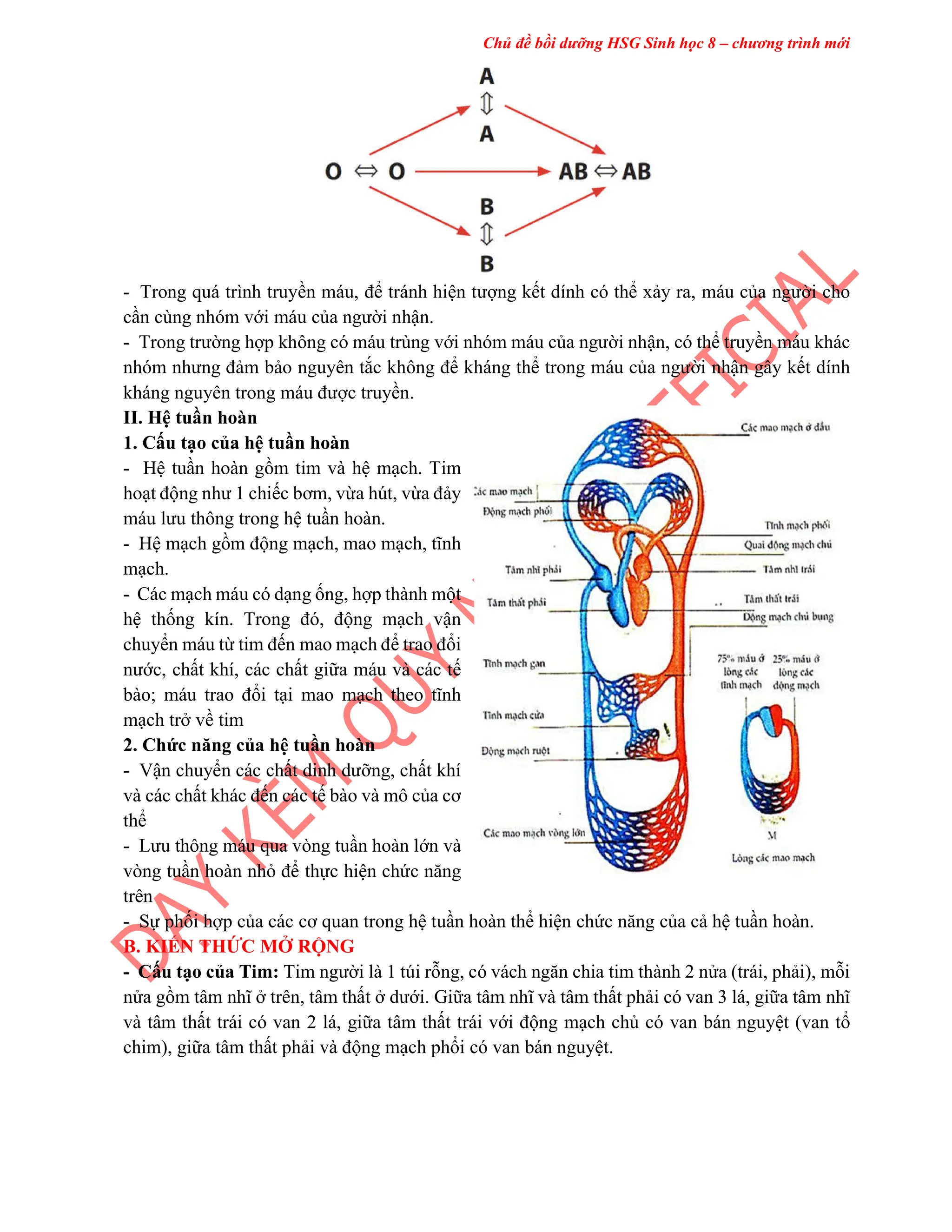 16 CHUYÊN ĐỀ BỒI DƯỠNG HỌC SINH GIỎI KHOA HỌC TỰ NHIÊN 8 CHƯƠNG TRÌNH MỚI - PHẦN SINH HỌC (CÓ ...