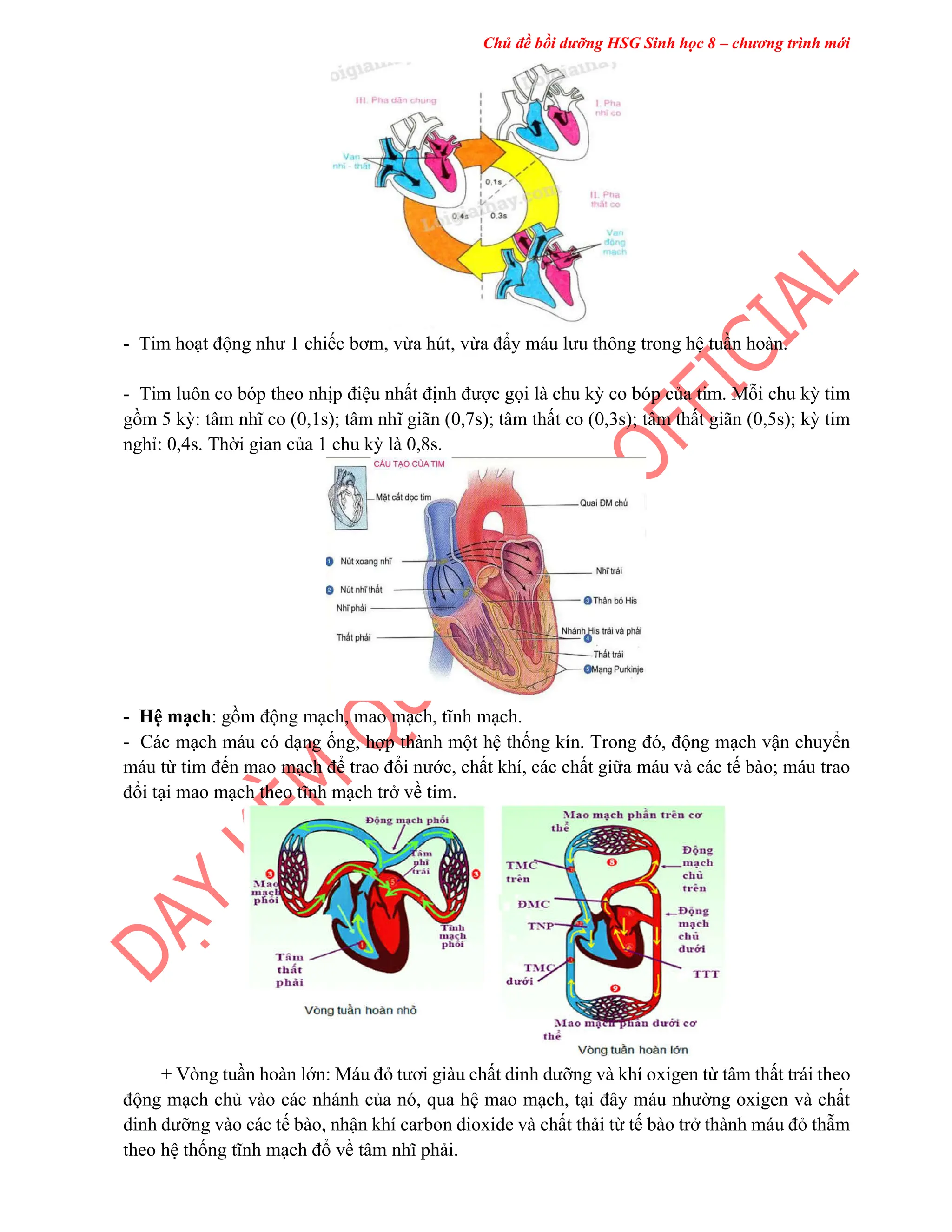 16 CHUYÊN ĐỀ BỒI DƯỠNG HỌC SINH GIỎI KHOA HỌC TỰ NHIÊN 8 CHƯƠNG TRÌNH MỚI - PHẦN SINH HỌC (CÓ ...