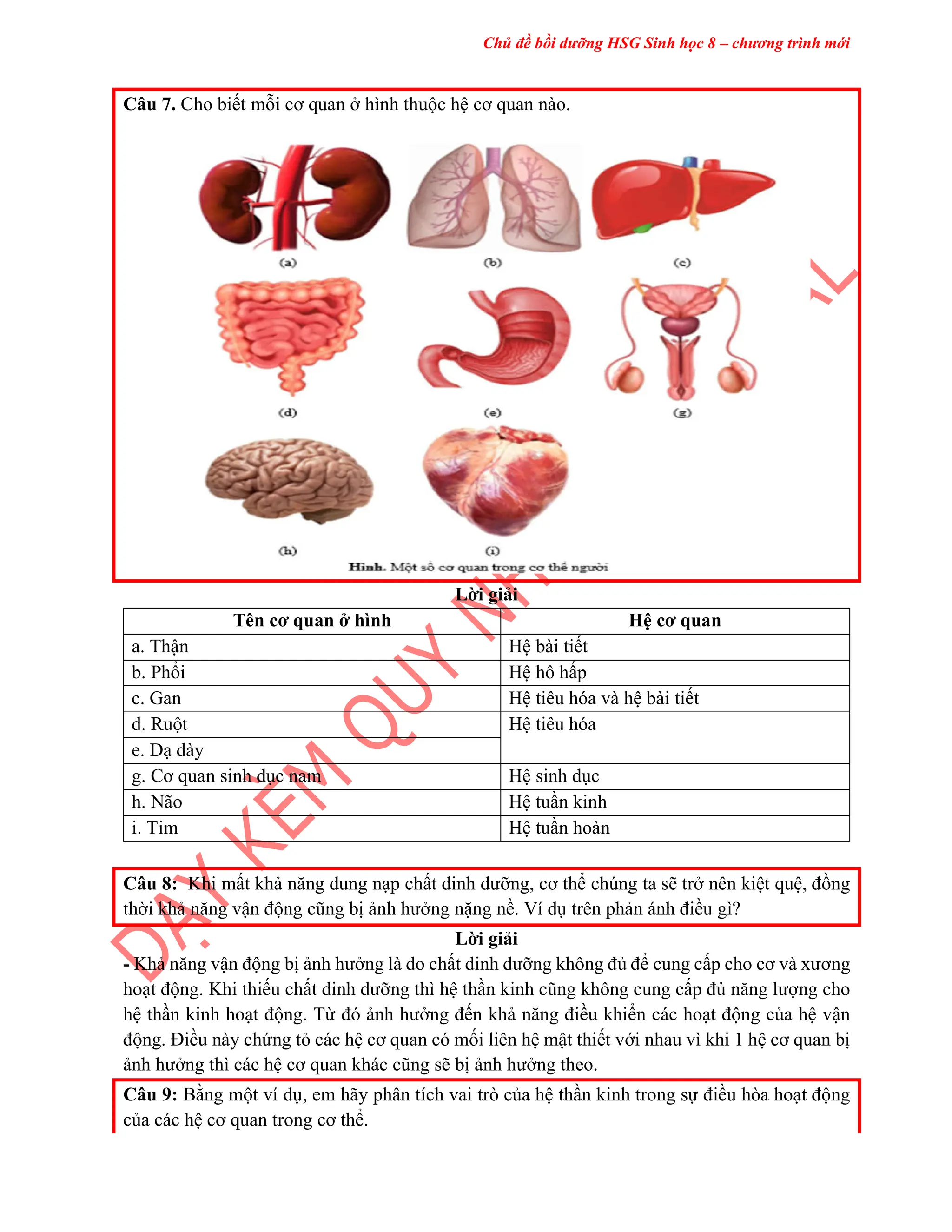 16 CHUYÊN ĐỀ BỒI DƯỠNG HỌC SINH GIỎI KHOA HỌC TỰ NHIÊN 8 CHƯƠNG TRÌNH MỚI - PHẦN SINH HỌC (CÓ ...
