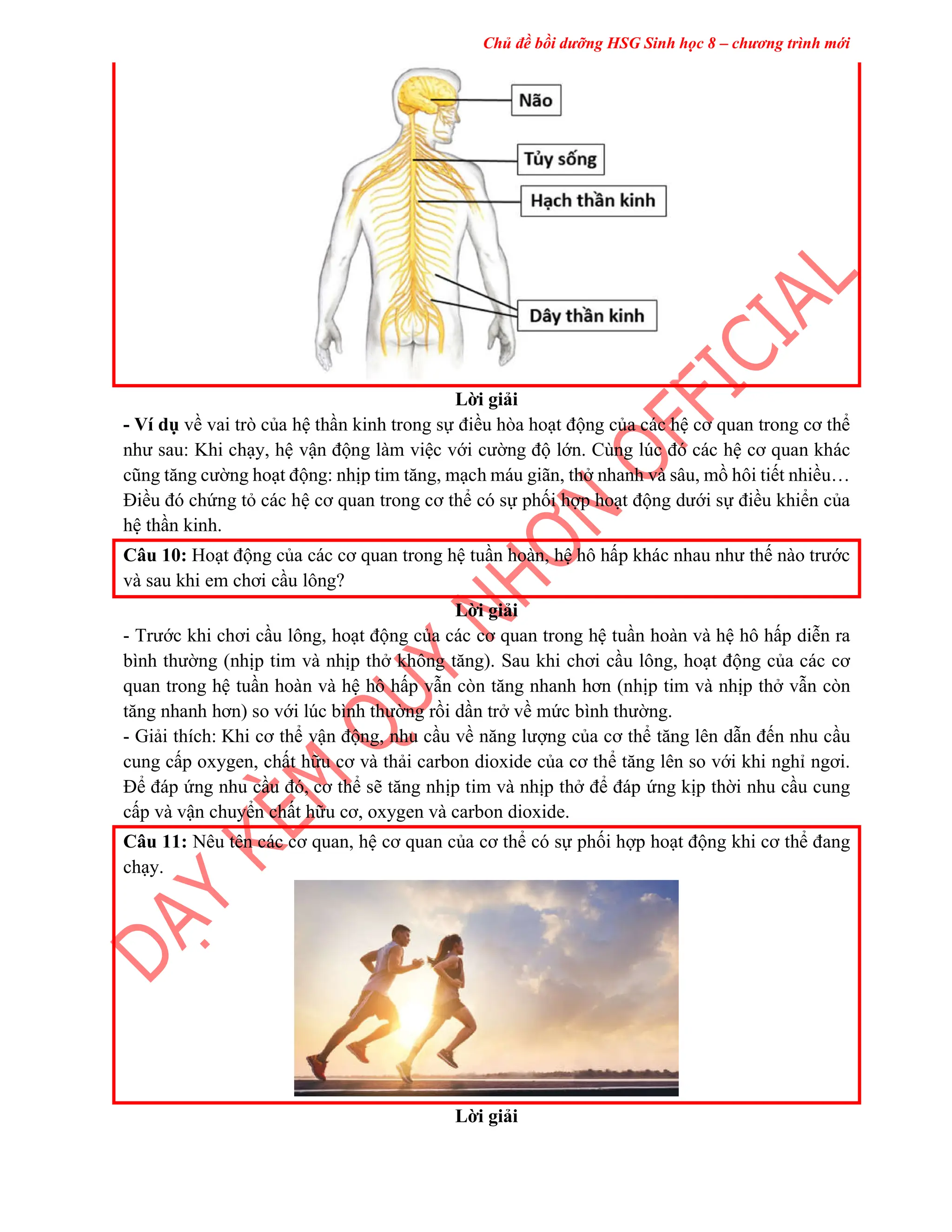 16 CHUYÊN ĐỀ BỒI DƯỠNG HỌC SINH GIỎI KHOA HỌC TỰ NHIÊN 8 CHƯƠNG TRÌNH MỚI - PHẦN SINH HỌC (CÓ ...