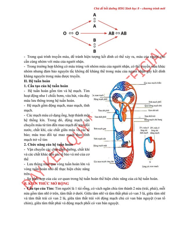 16 CHUYÊN ĐỀ BỒI DƯỠNG HỌC SINH GIỎI KHOA HỌC TỰ NHIÊN 8 CHƯƠNG TRÌNH MỚI - PHẦN SINH HỌC (CÓ ...