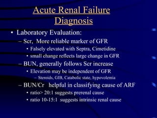 16 Daeihagh Acute Renal Failure | PPT