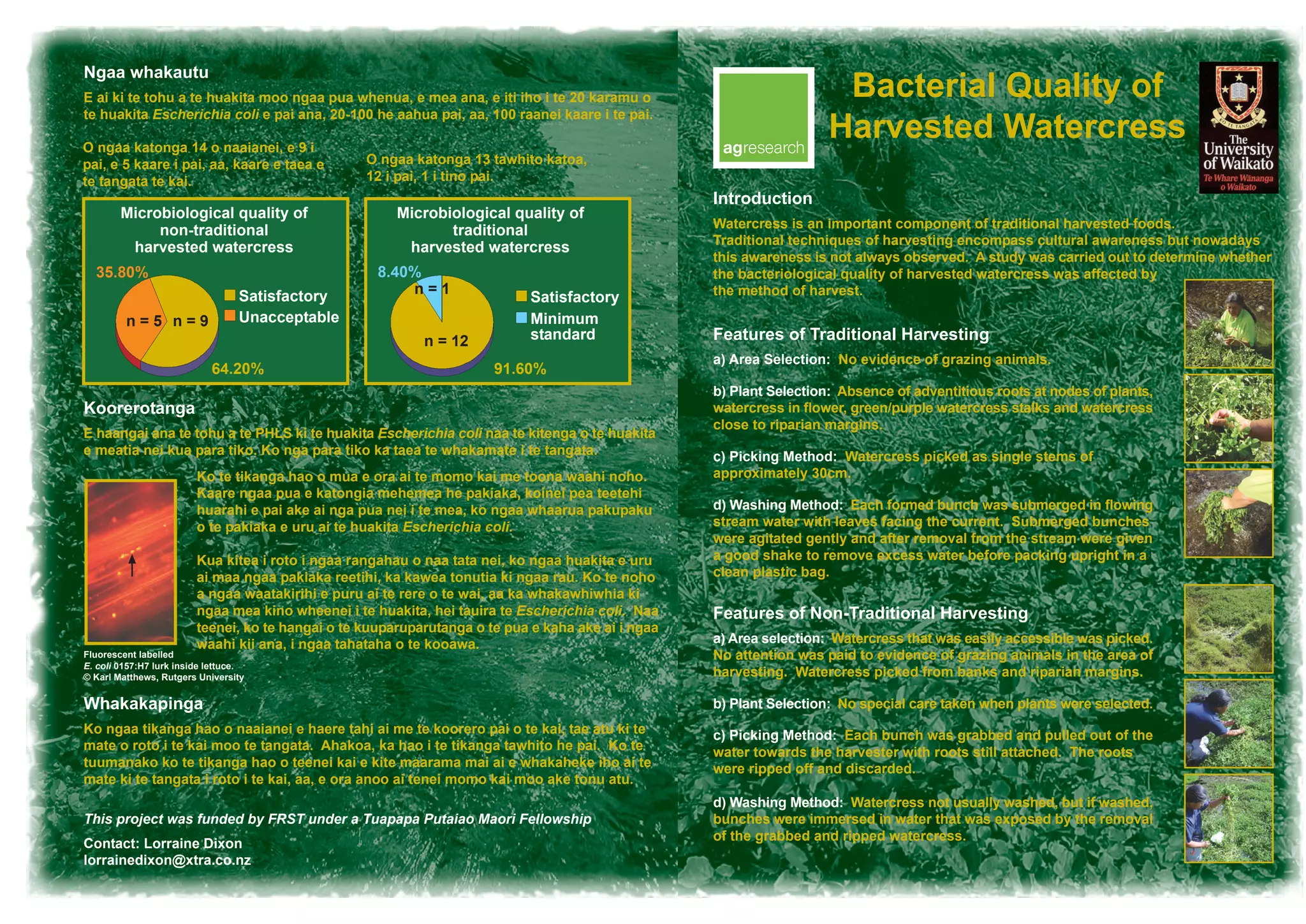 Dixon watercress | PDF