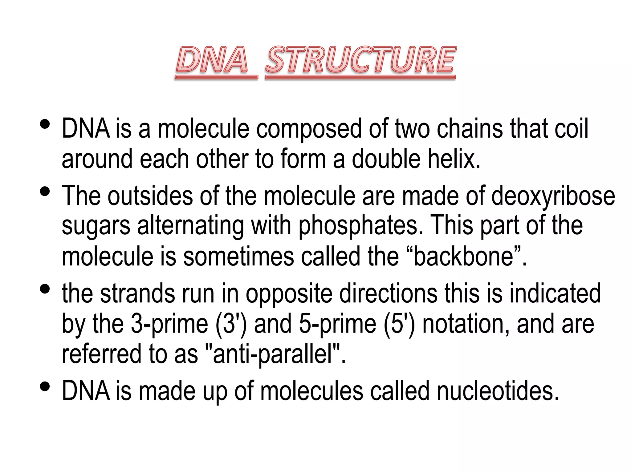 DNA Structure | PPT