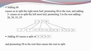 B Tree in Data Structure | PPTX