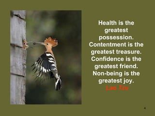 16 Favorite Contentment Quotes | PPT