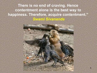 16 Favorite Contentment Quotes | PPT
