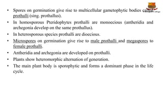 General characteristics of pteridophytes | PPTX