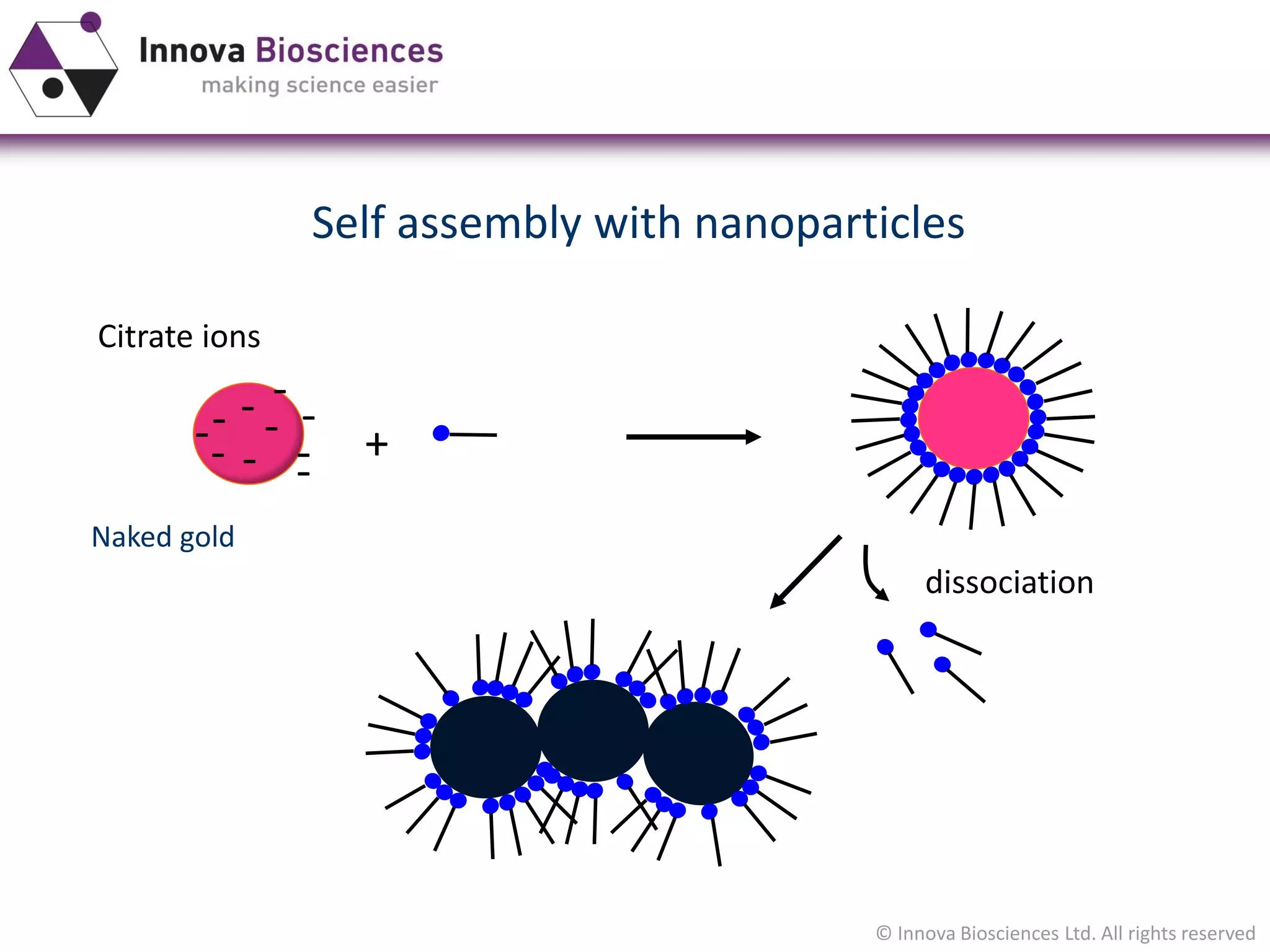 Gold nanoparticles - optimization of conjugates | PDF