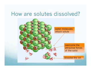 1 6 How Are Solutes Dissolved | PDF | Chemistry | Science