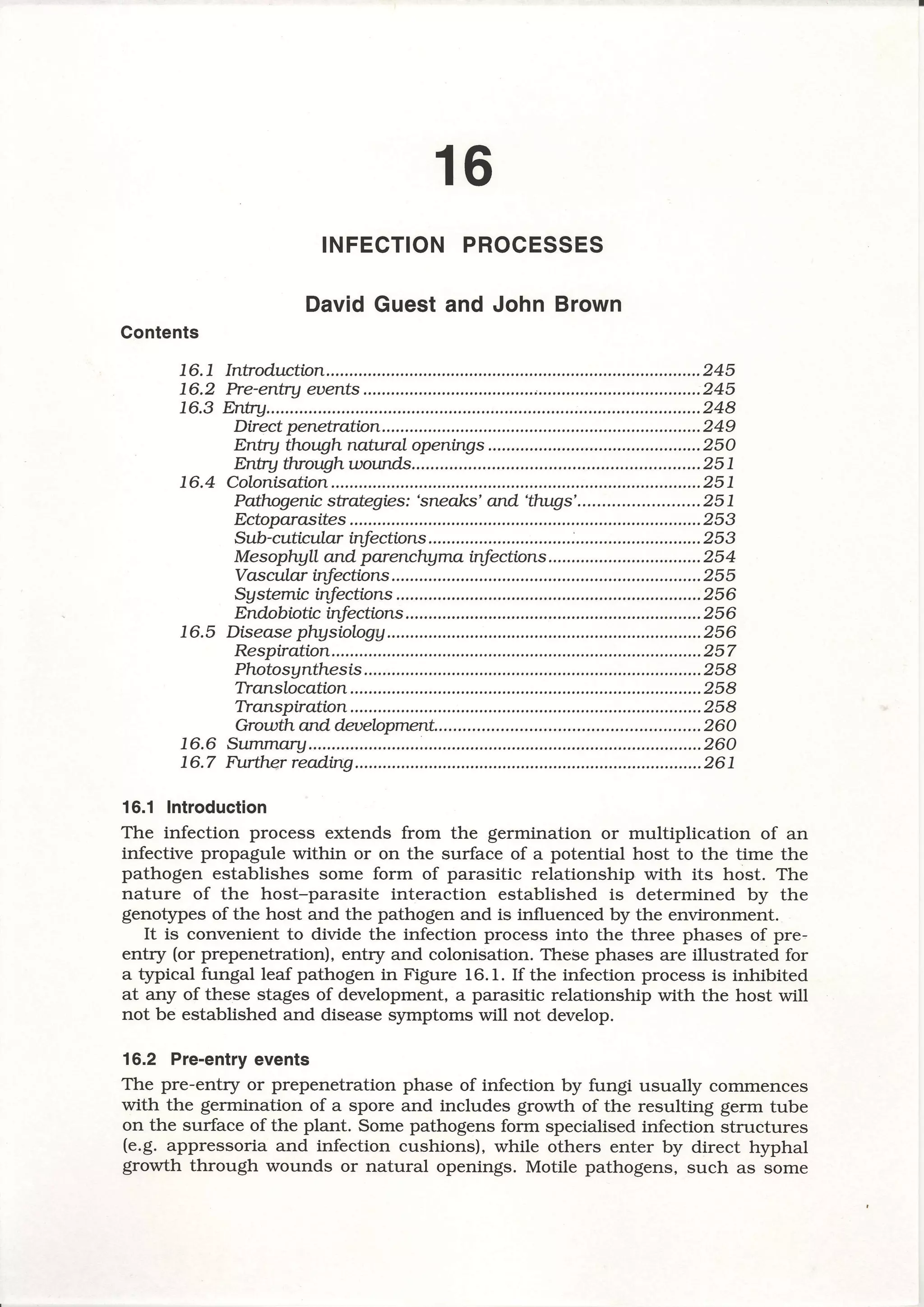 plant infection processes | PDF