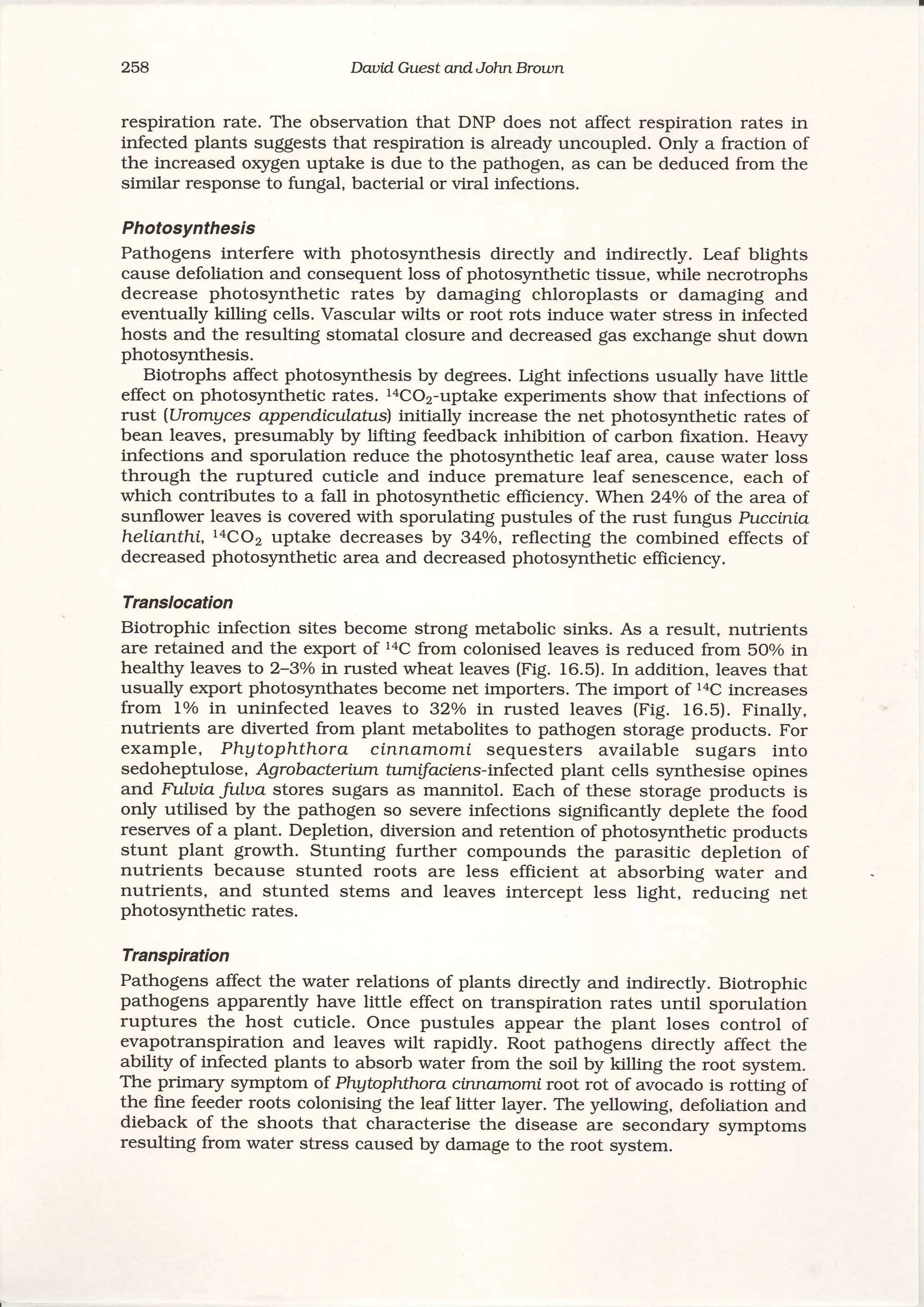 plant infection processes | PDF