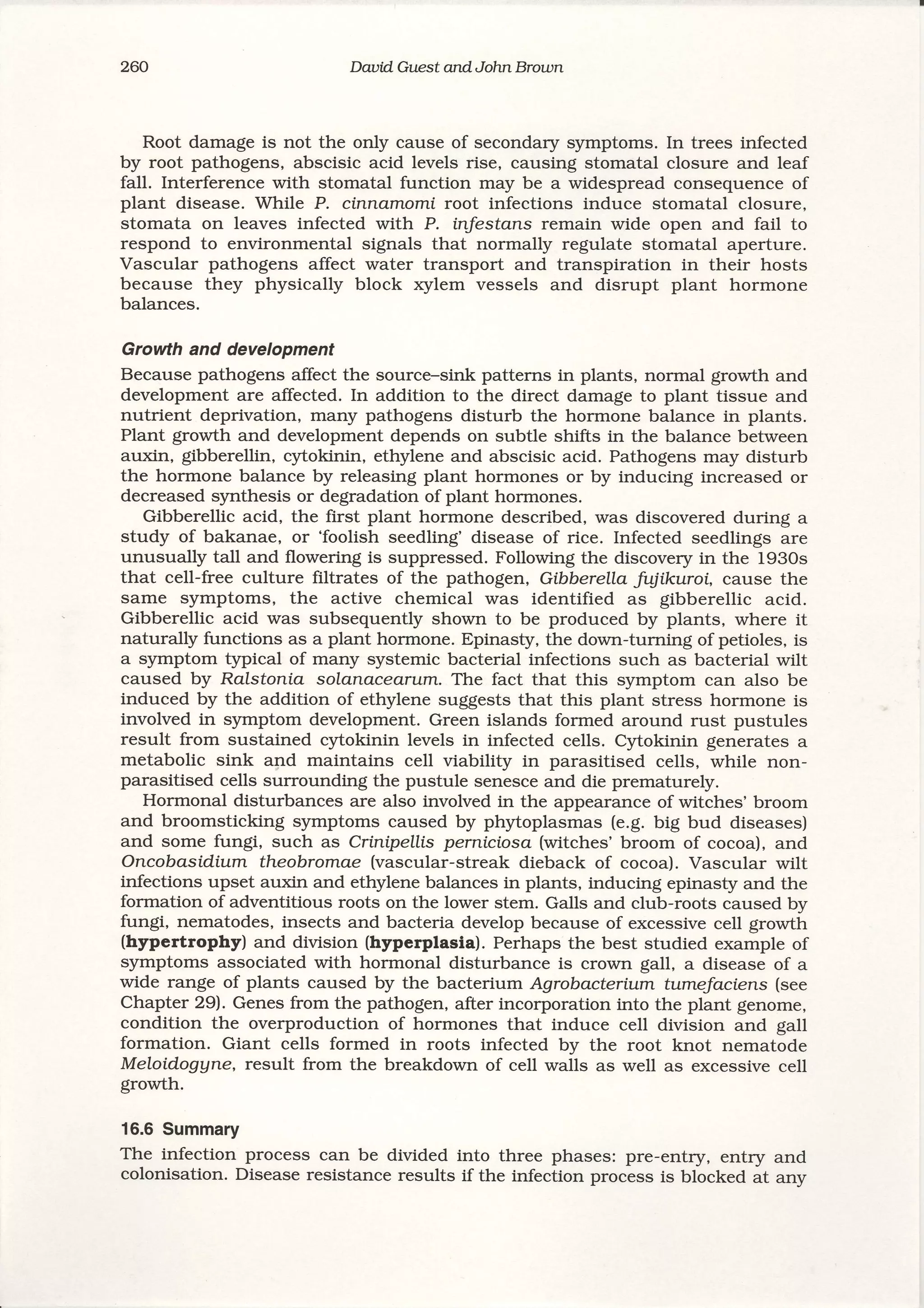 plant infection processes | PDF