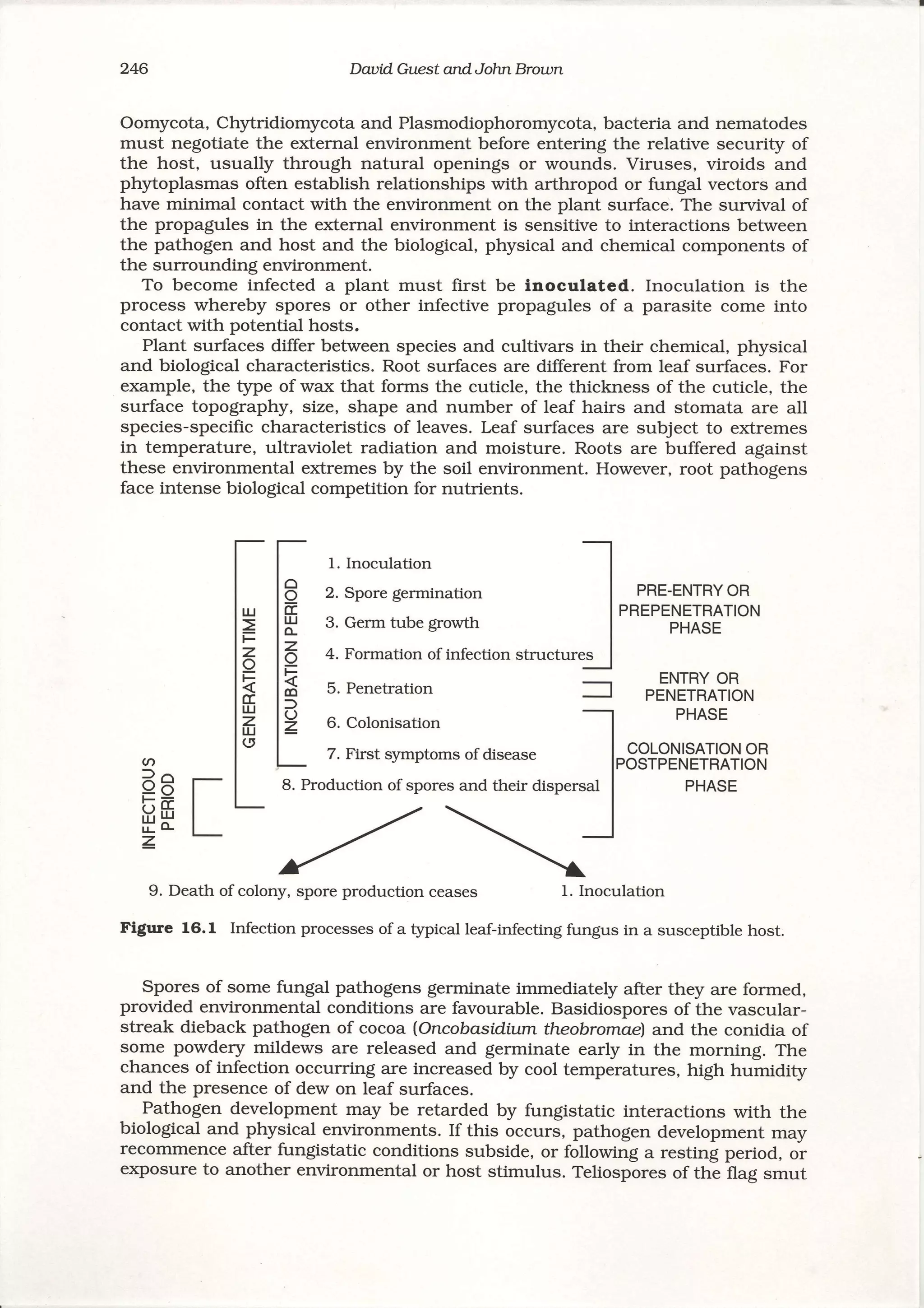 plant infection processes | PDF