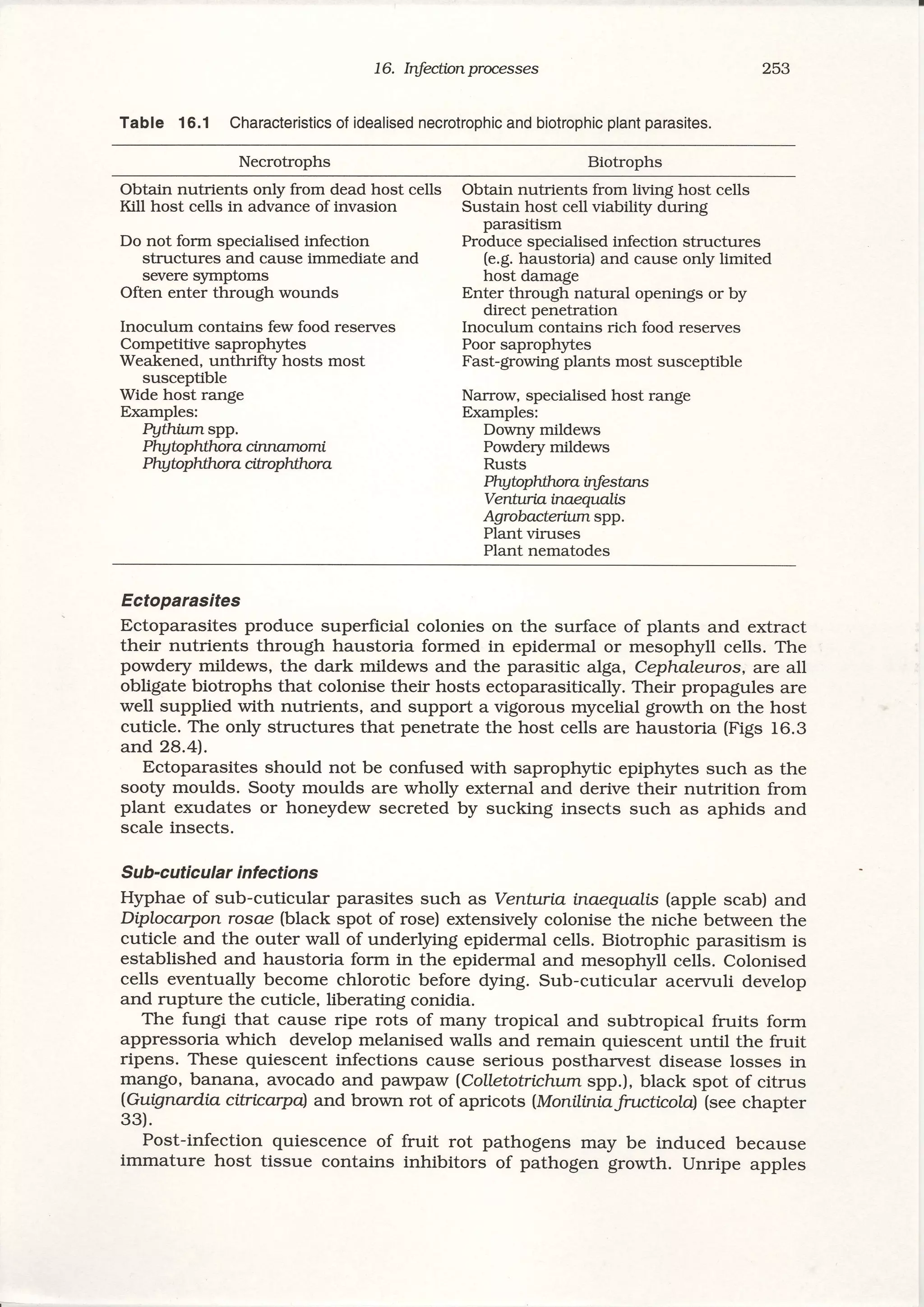 plant infection processes | PDF