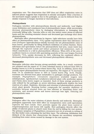 plant infection processes | PDF