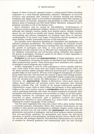 plant infection processes | PDF