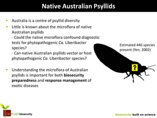 Psyllid microflora: Implications for liberibacter disease surveillance ...